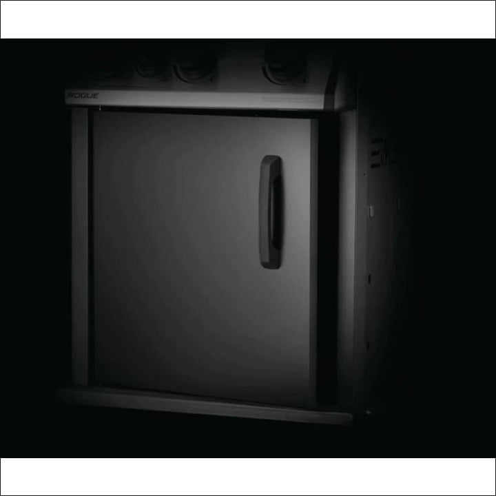 Napoleon ROGUE R365 | 2 Burner Gas Grill – Hot Things - Barbecues ...